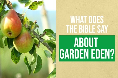 What Does The Bible Say About The Garden Of Eden?