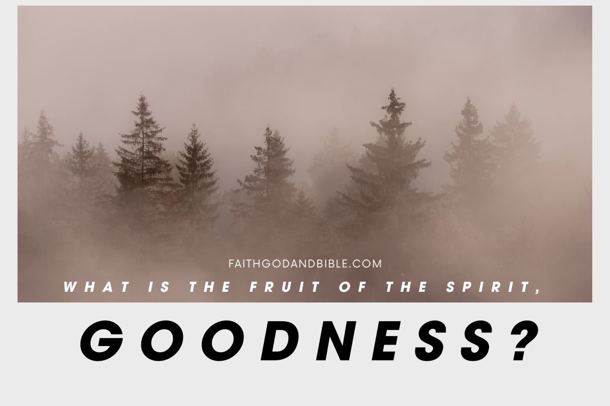 What Is The Fruit Of The Spirit, Goodness?